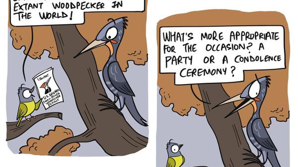 Green Humour by Rohan Chakravarty - The Hindu