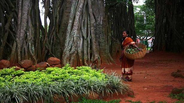 ‘The Legends of Khasak’ speaks of the vital inter-connection between ...