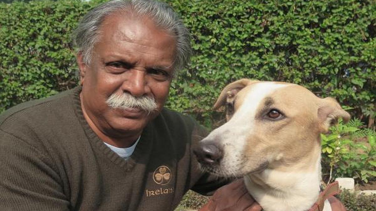 Notes from a dog lover’s diary - The Hindu