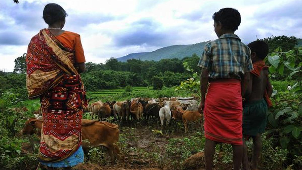 Bheda by Akhila Naik translated by Raj Kumar, Reviewed by Vaishna Roy ...