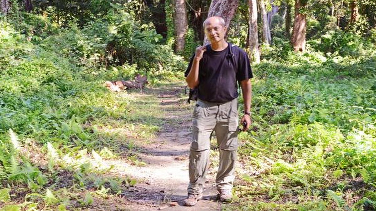 An interview with Deepak Dalal on his Feather Tales series - The Hindu