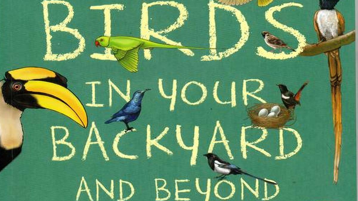 Learn how to become a birdwatcher with Birds in your Backyard and ...
