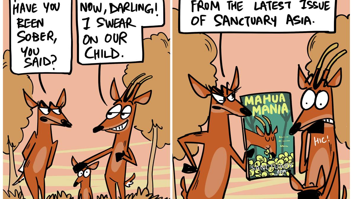 Green Humour by Rohan Chakravarty on the intoxicating effect of the ...