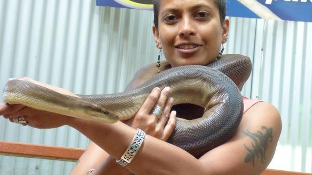 The small, strange & slimy: Janaki Lenin on her latest book - The Hindu