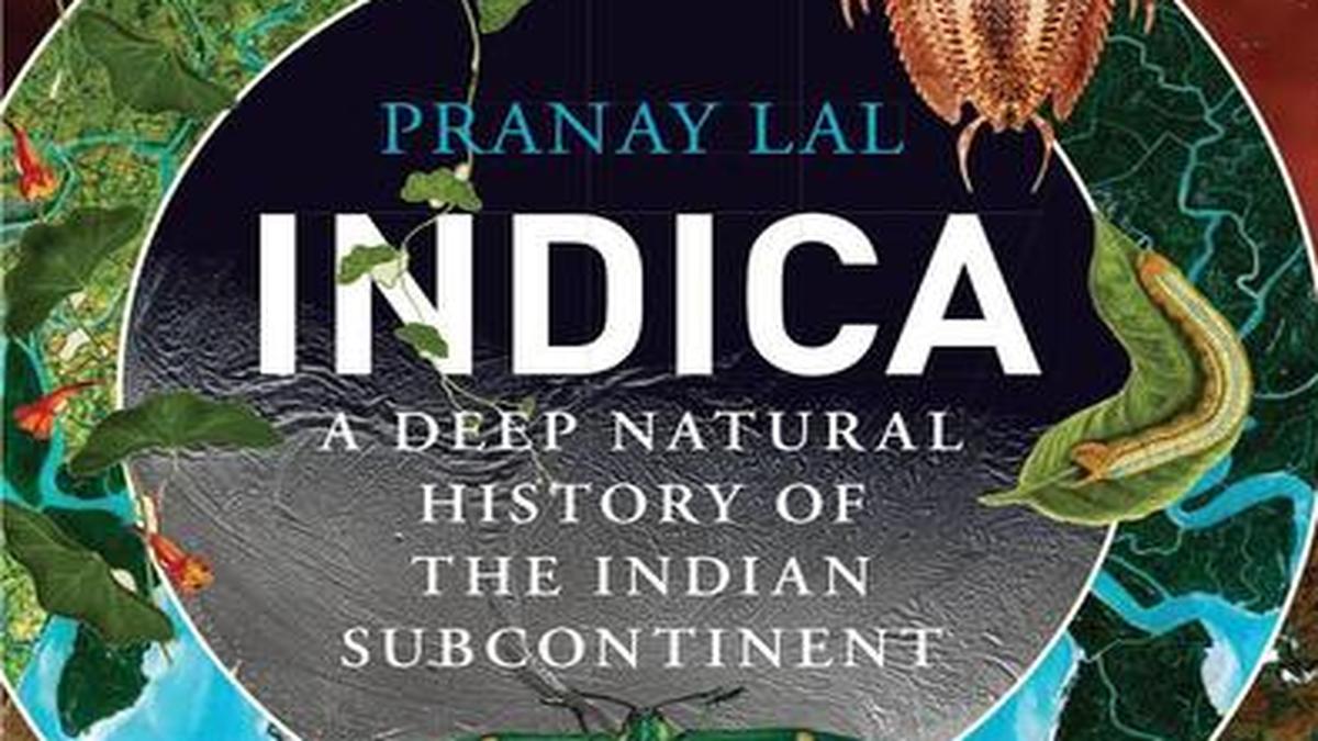 Valmik Thapar reviews Indica: A Deep Natural History of the Indian ...