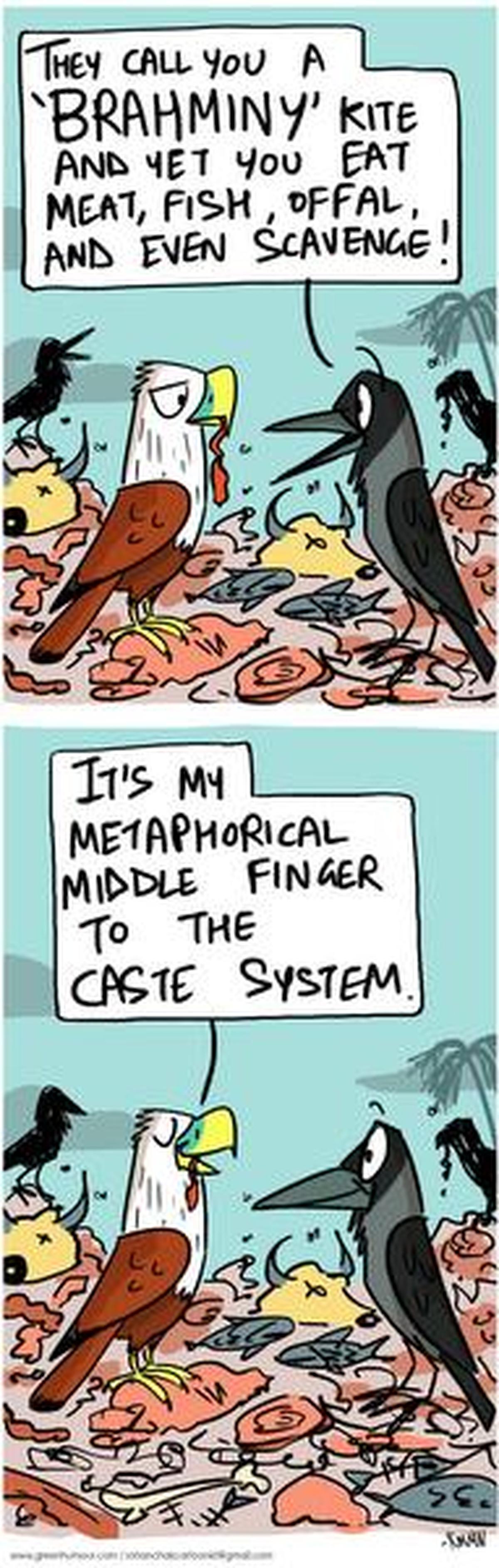 Green Humour by Rohan Chakravarty - The Hindu