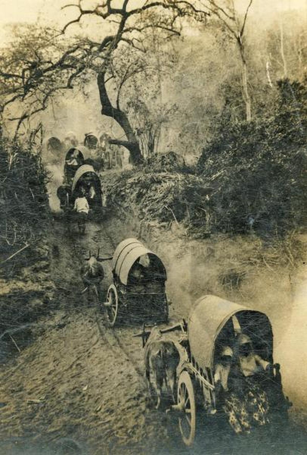 ‘Jangam: A Forgotten Exodus in which Thousands Died’ review: an ...