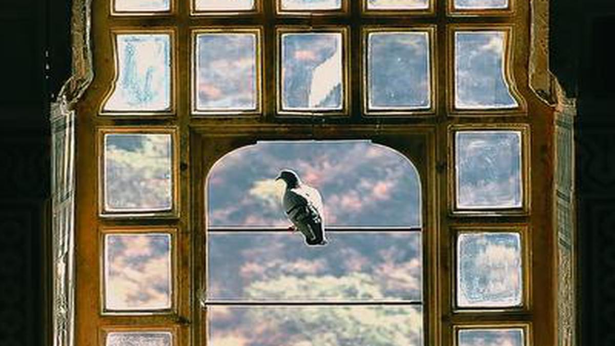 Shuma Raha reviews ‘Qabar’ by K.R. Meera, trs Nisha Susan - The Hindu