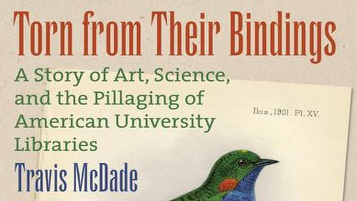 Accounts of rare-book thefts are so exciting that we almost forget the ...