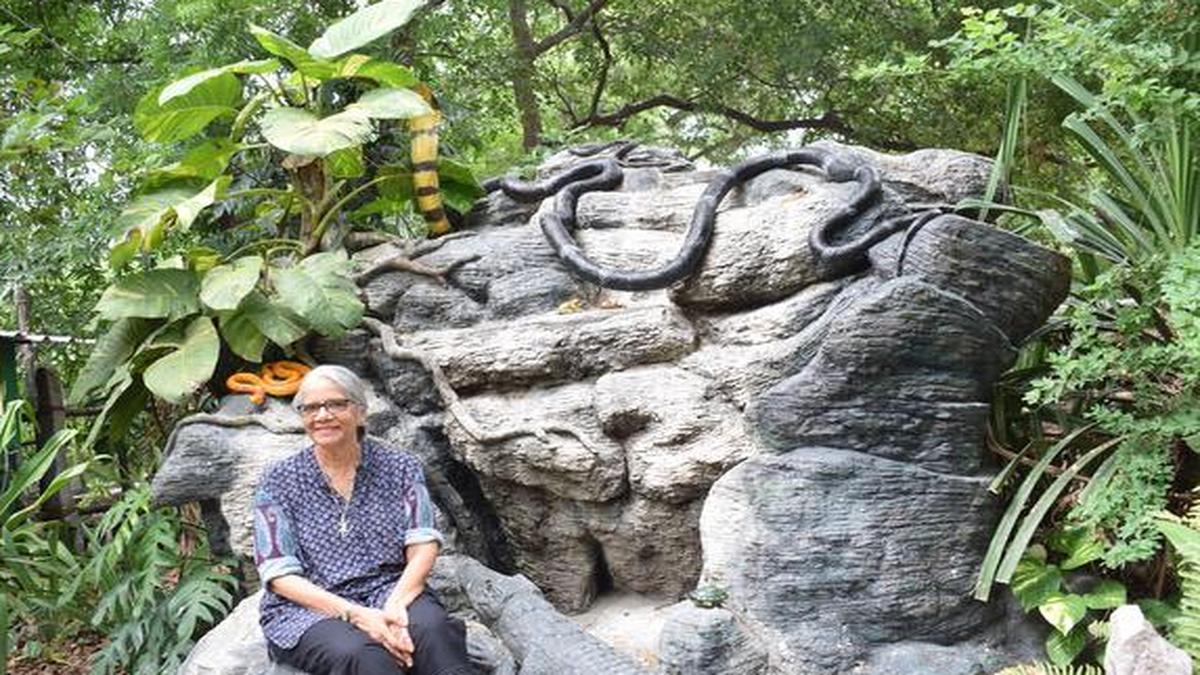 Zai Whitaker on ‘Zyrus the Virus’, her latest e-book on the pandemic ...