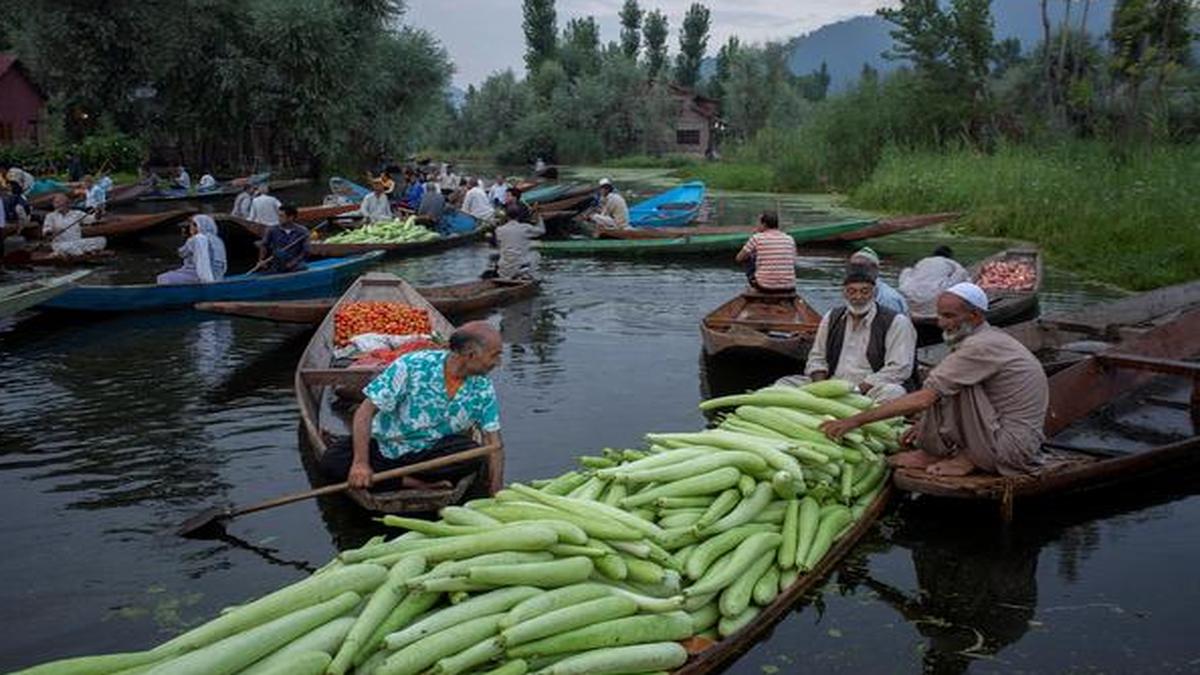 Tabish Khair reviews Sandeep Raina’s ‘A Bit of Everything’ - The Hindu