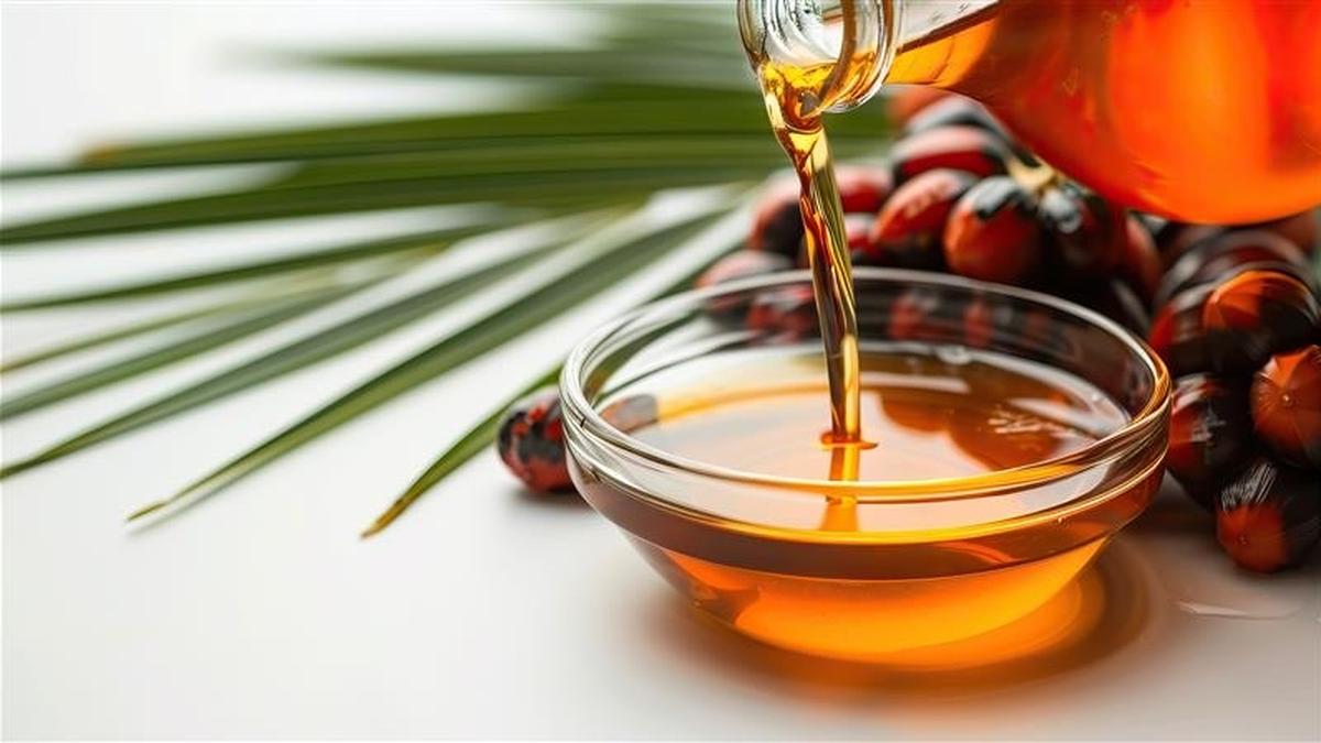 Let’s Talk about Palm Oil: What You Need to Know - The Hindu