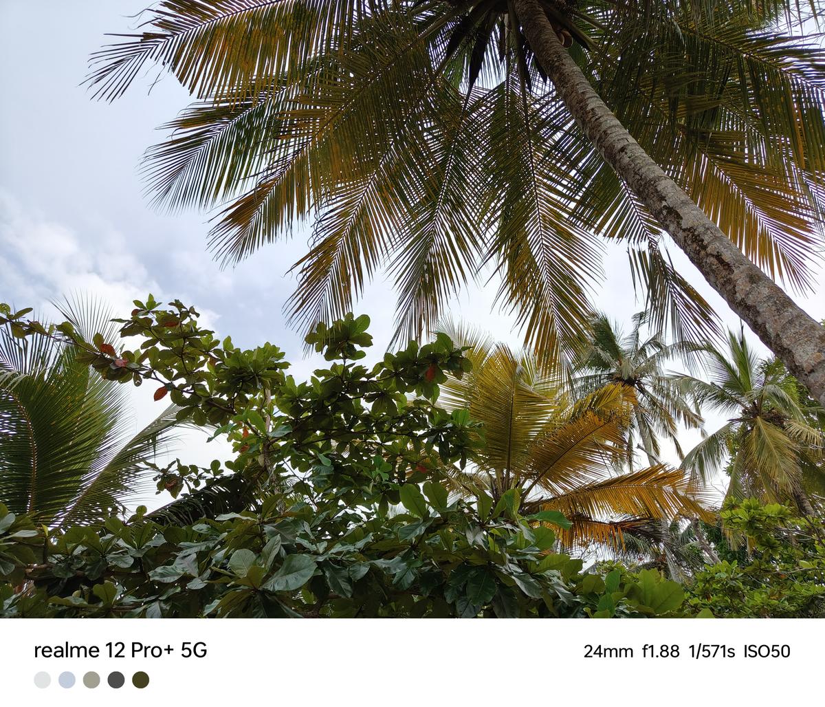 Realme 12 Pro+ Review: Redefines value in mainstream segment - The Hindu