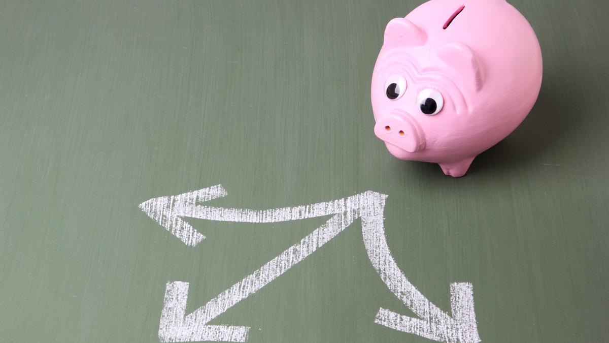 Diversification or alpha, not both - The Hindu