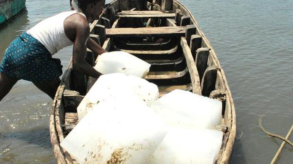 The Ice King of the past - The Hindu