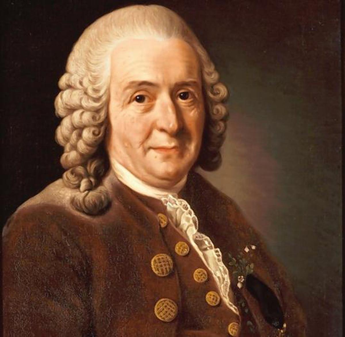 Know the scientist: Carl Linnaeus - The Hindu