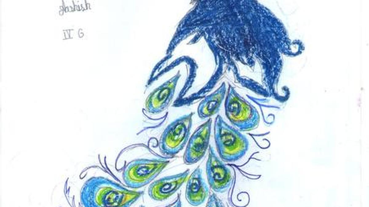 Drawings from India - The Hindu