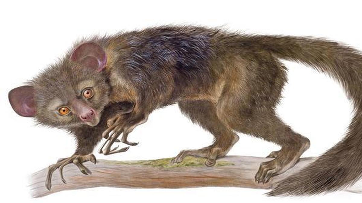 Ugly, Am I? Part I - The Hindu