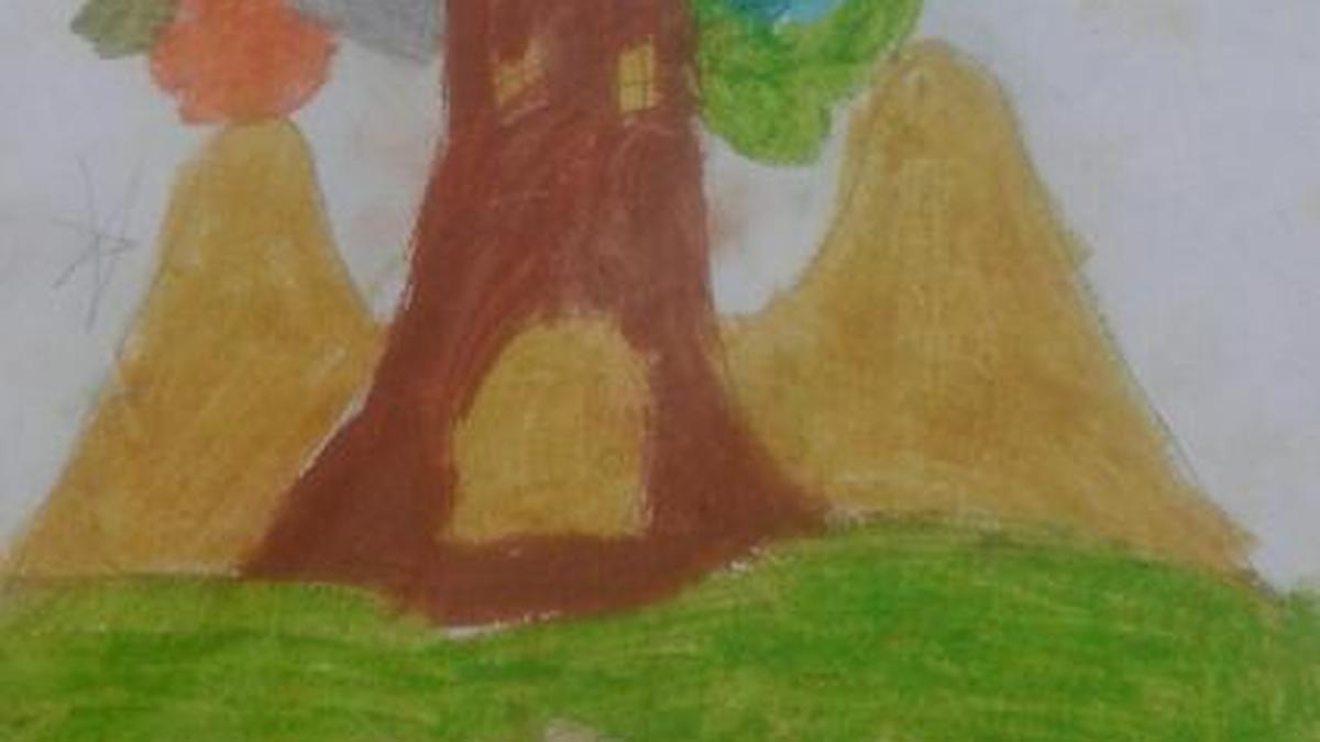 Drawings from India - The Hindu