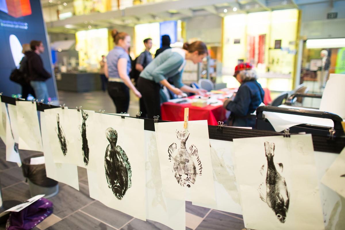 What is Gyotaku? - The Hindu