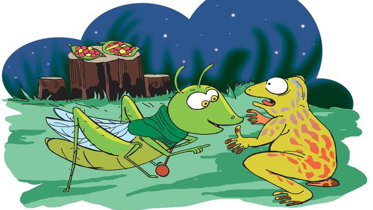 When toad and grasshopper shared a meal - The Hindu