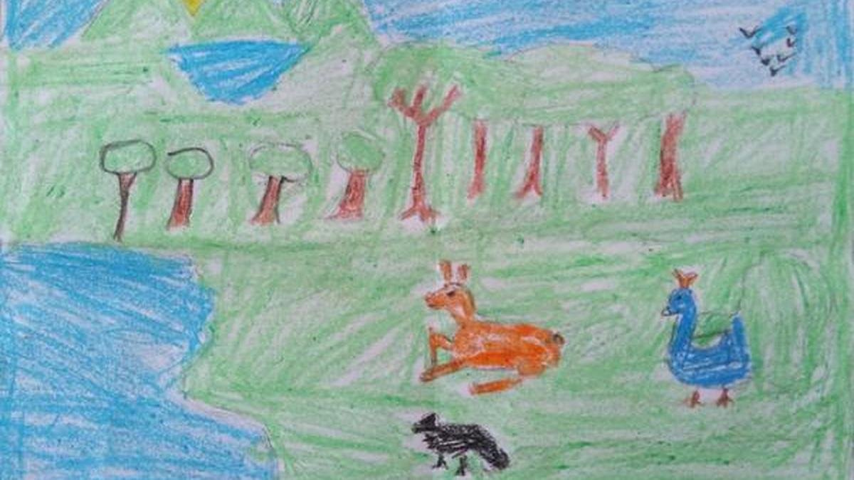 Drawings from India - The Hindu