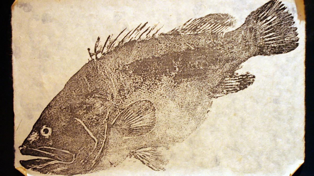 What is Gyotaku? - The Hindu
