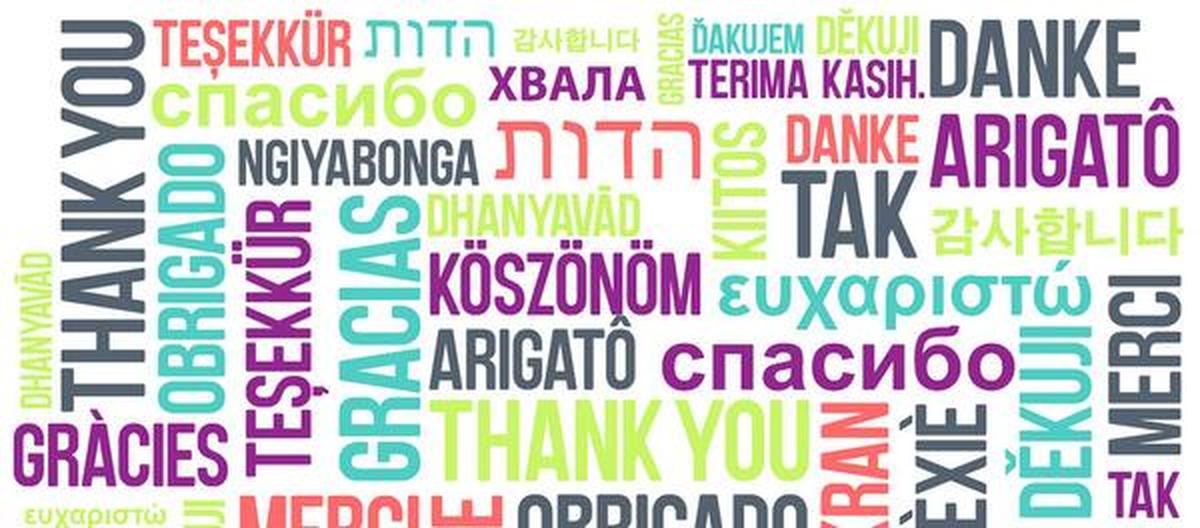 The language factor - The Hindu