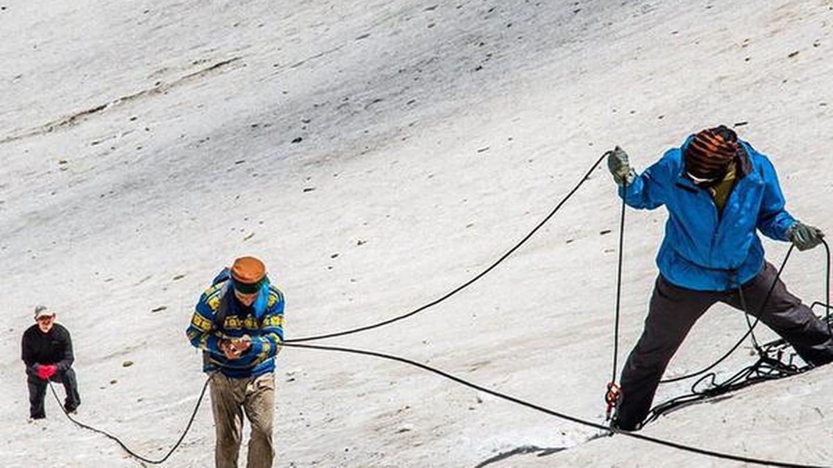 Avocation meets vocation in the wilderness - The Hindu