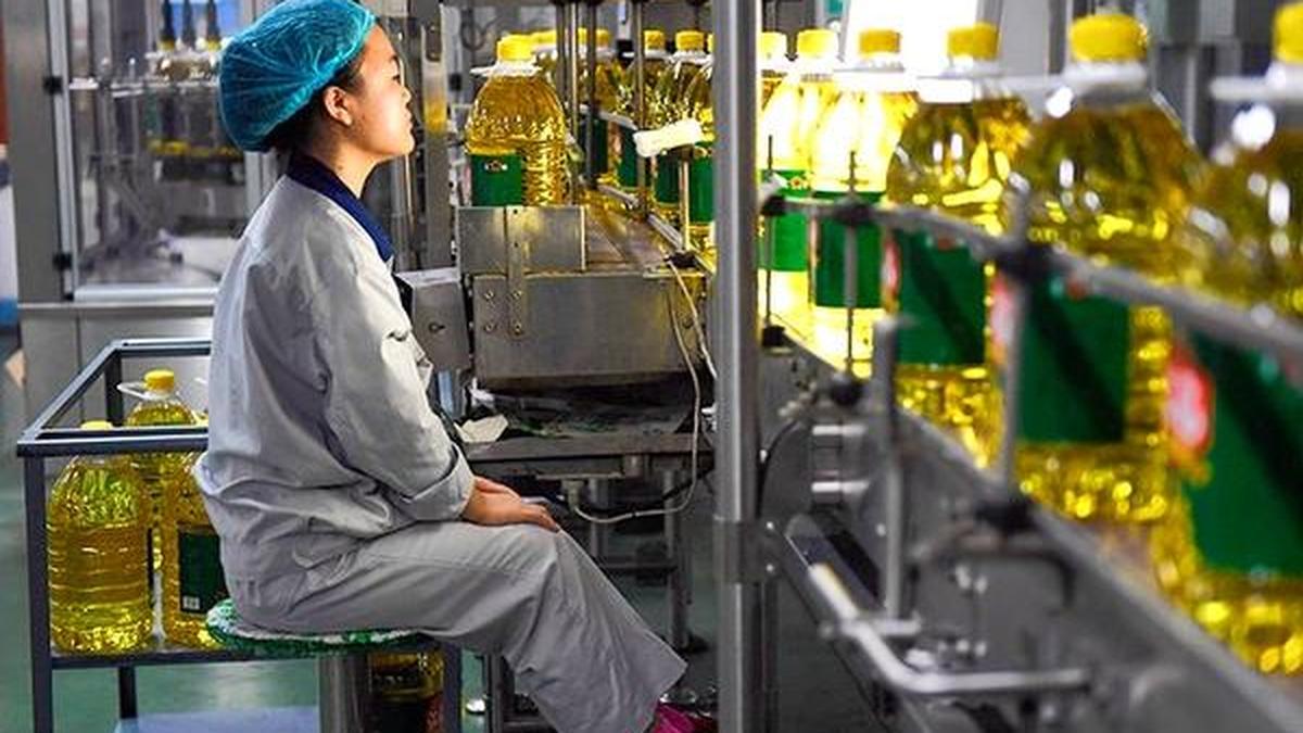 An eye on the future - The Hindu