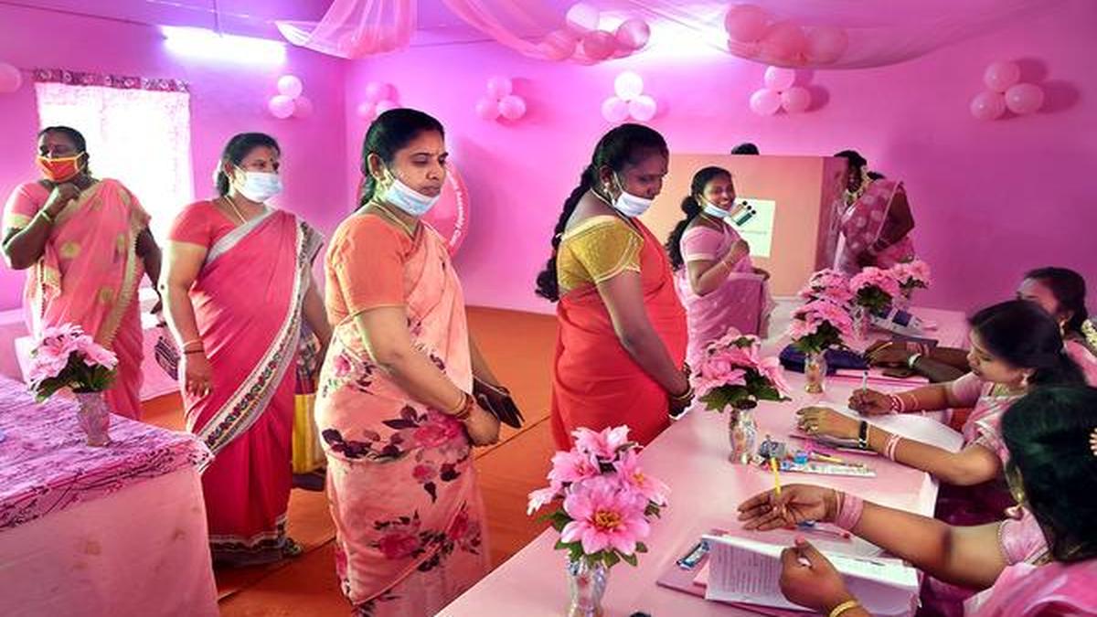 Tamil Nadu Assembly elections | Pink booth created as part of voter ...