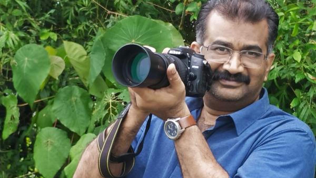 Chronicling Kathakali performances in pictures - The Hindu