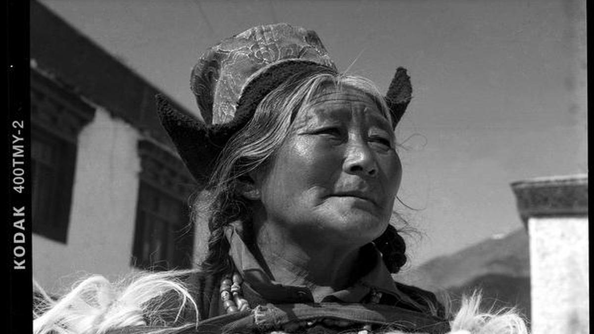 Film photography makes a comeback as more dark rooms crop up across ...