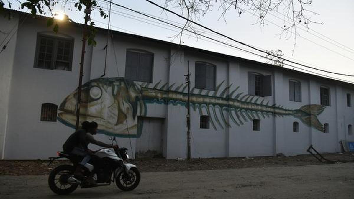 Putting Alappuzha on the global art map - The Hindu