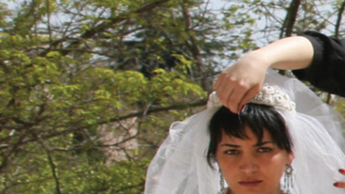 Iranian artist Azadeh Akhlaghi’s frames of resistance - The Hindu