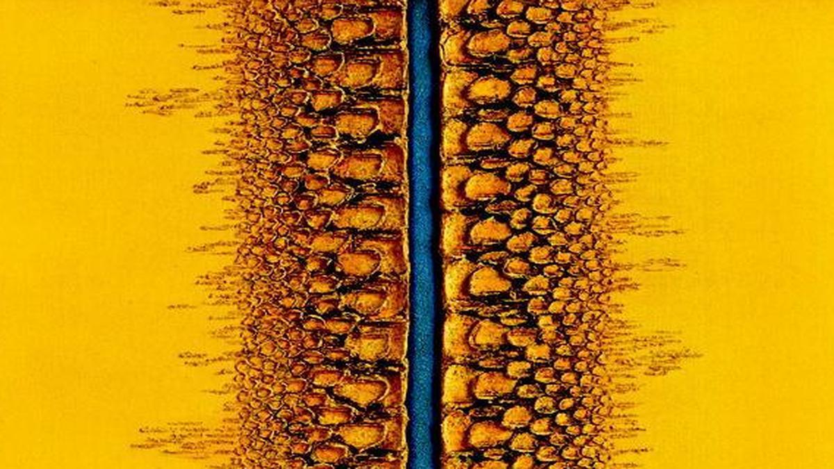 The art of nothingness - The Hindu