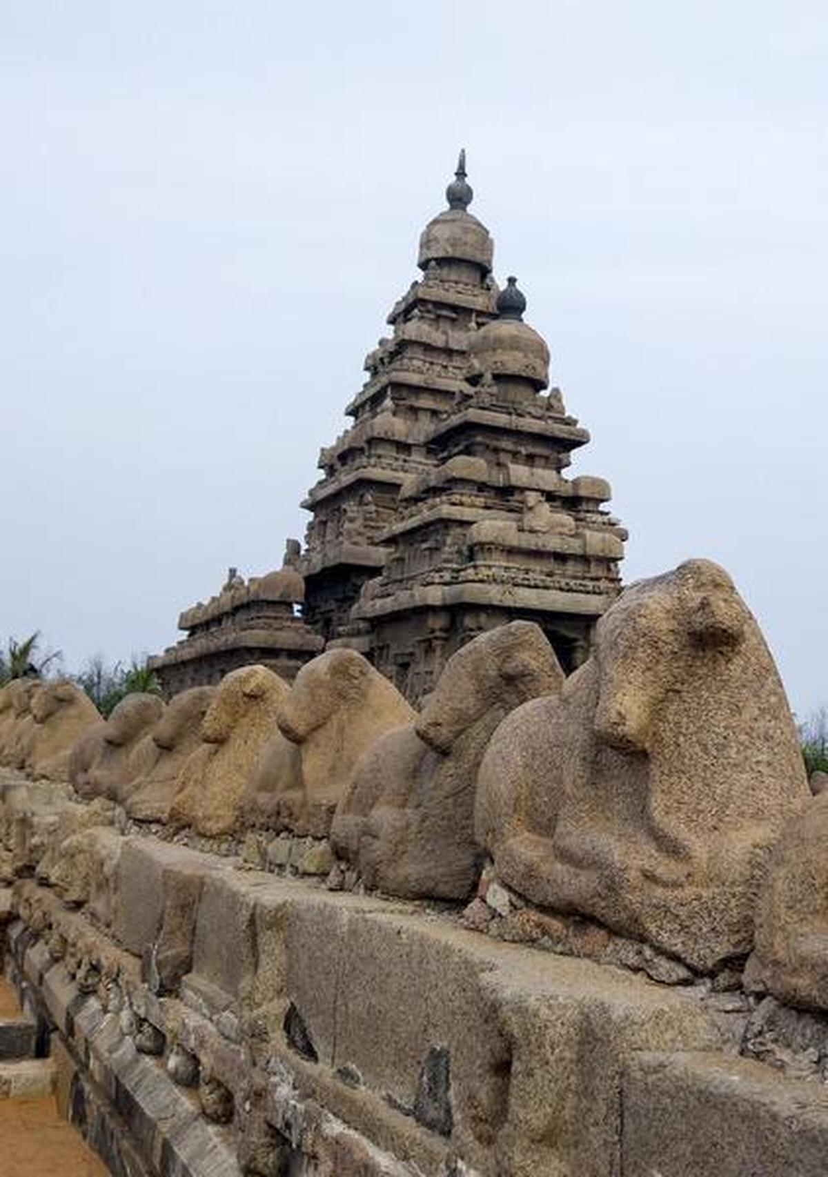 Living, breathing stones of splendour in Mamallapuram - The Hindu