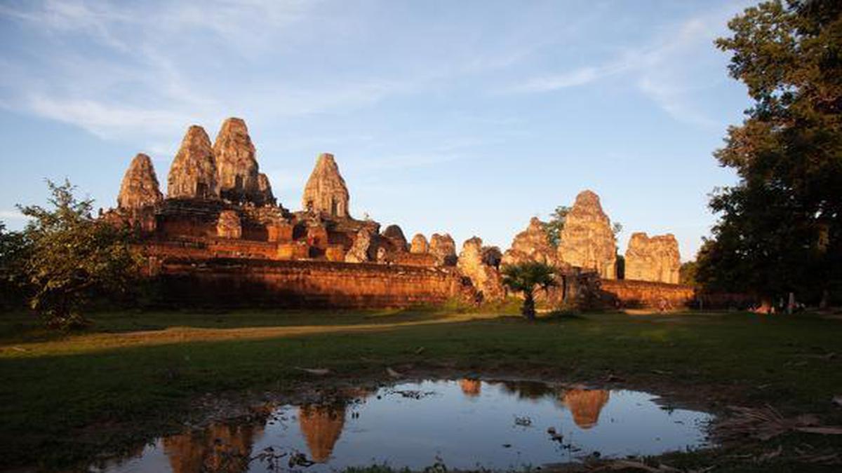 Hyderabad photographer Amita Talwar’s virtual fundraiser exhibition for ...