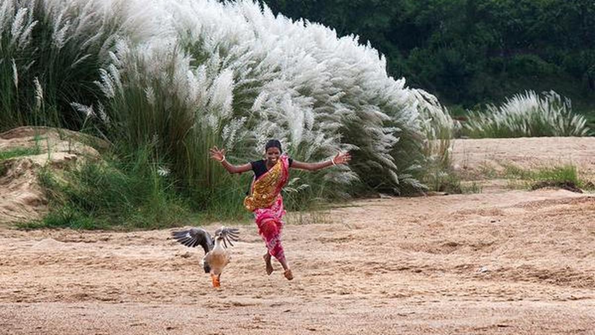 Nature next door - The Hindu