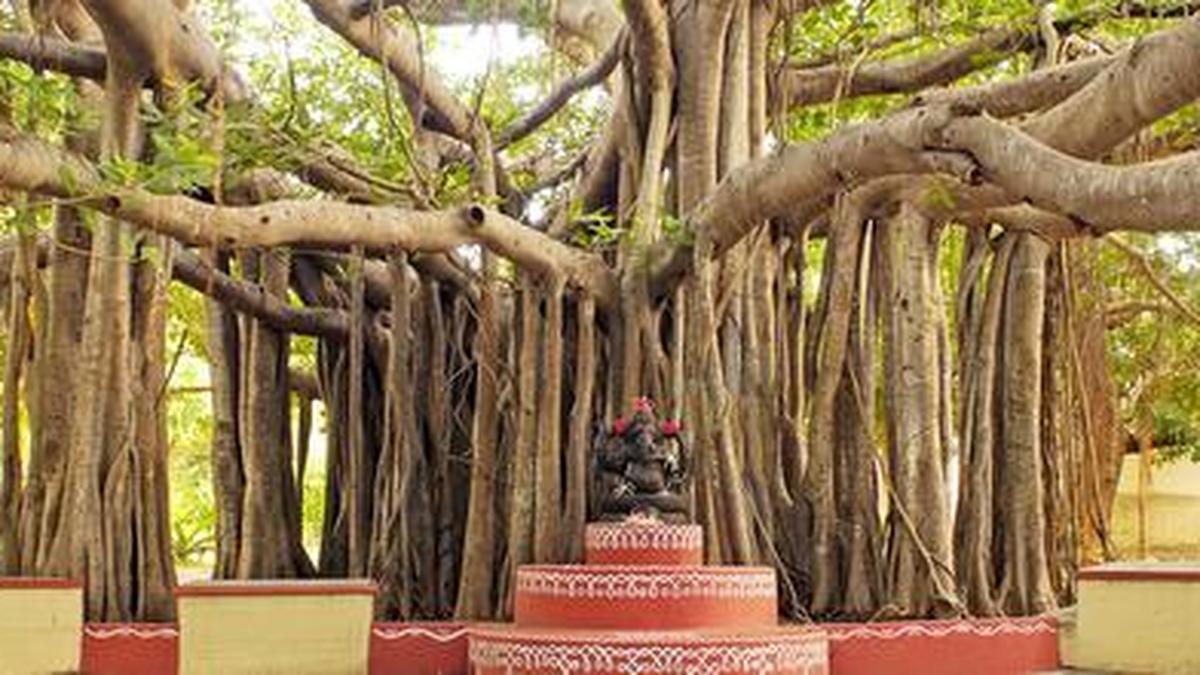 Understanding Rukmini Devi - The Hindu