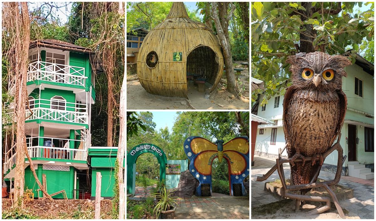 Moment in the sun: Kerala’s Thattekkad Bird Sanctuary prepares for a ...