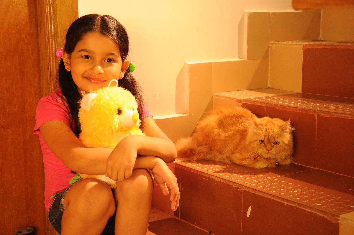 Meow.JPG - The Hindu