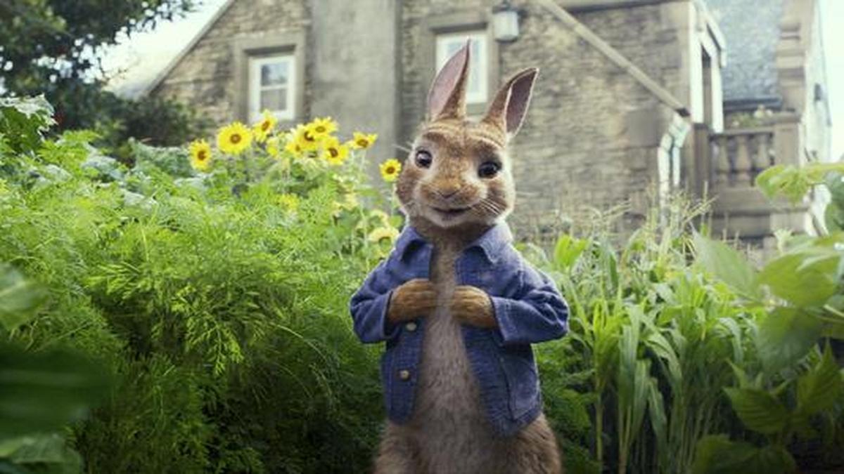 ‘Peter Rabbit’ review: A fly upon his nose - The Hindu