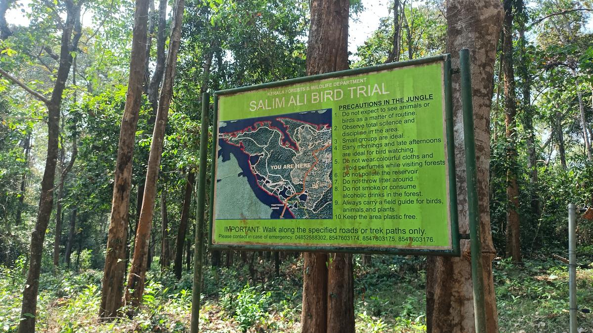 Moment in the sun: Kerala’s Thattekkad Bird Sanctuary prepares for a ...