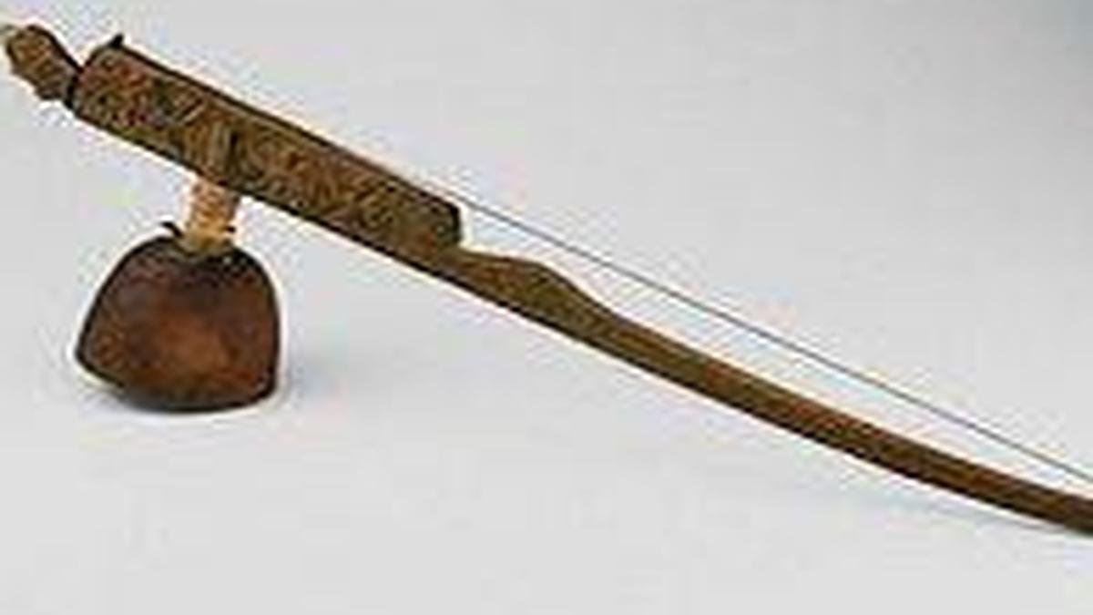 On the trail of tuila - The Hindu