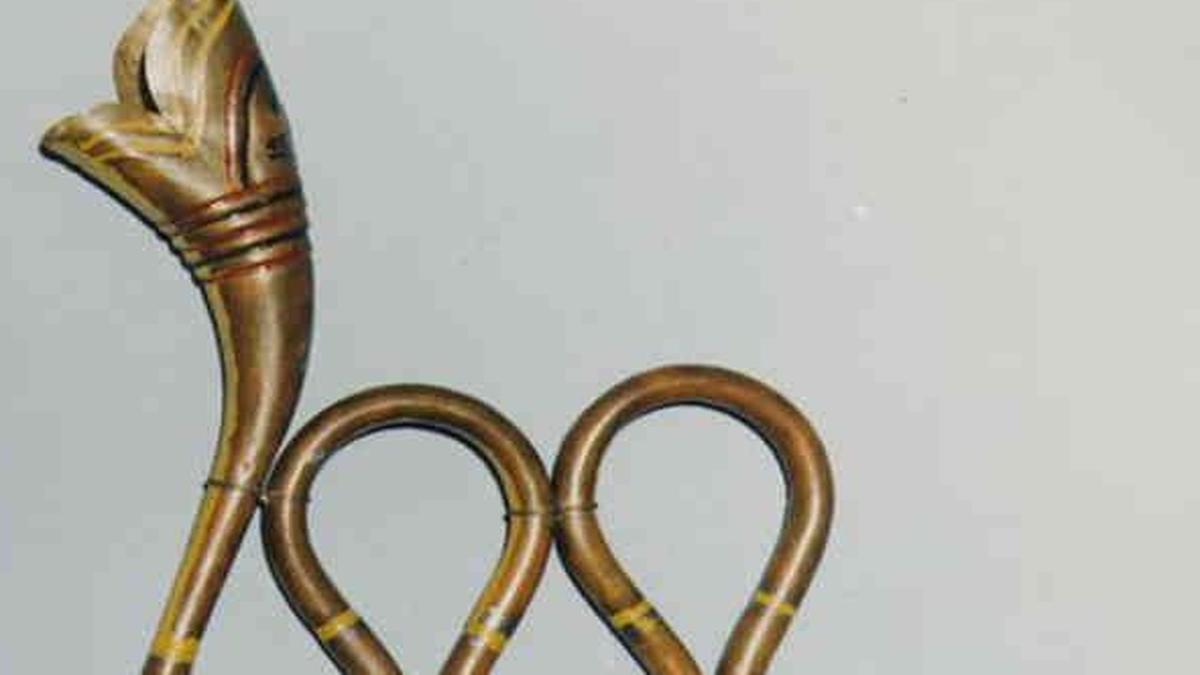 Nagphani: The serpentine horn - The Hindu