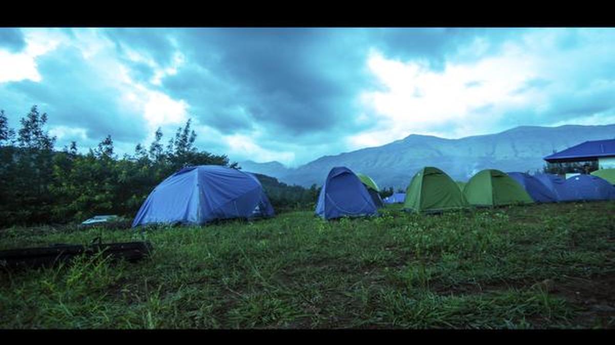 Malanad Calling is a music festival that integrates with nature - The Hindu