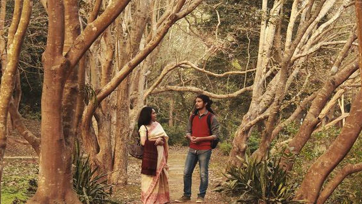 The NFDC film bazaar is where indie headliners are born - The Hindu