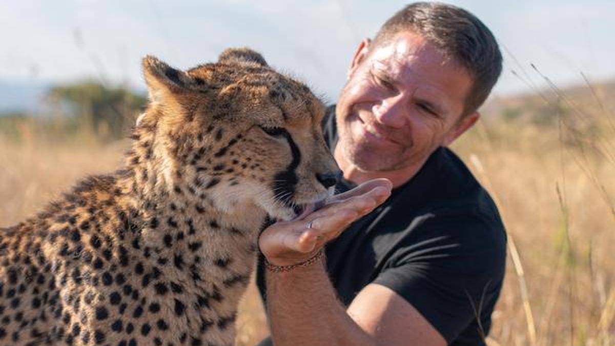 This is the best life I could ask for: Steve Backshall on being a ...