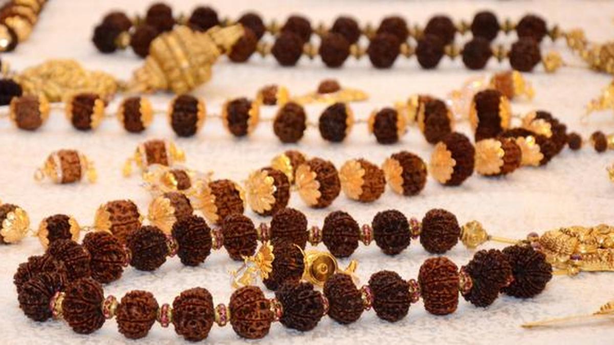 Rare rudrakshas... - The Hindu